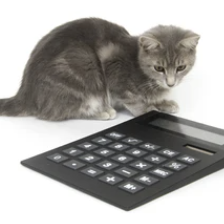 Jasmine Quach | Professional Portfolio